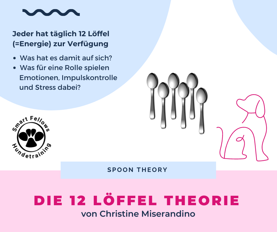 Die L ffeltheorie Smart Fellows Hundetraining Hessisch Oldendorf